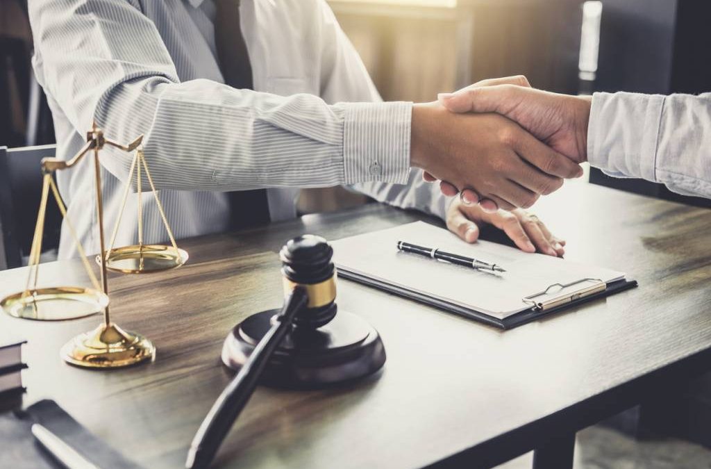 Types d'avocats : combien y en a-t-il en tout